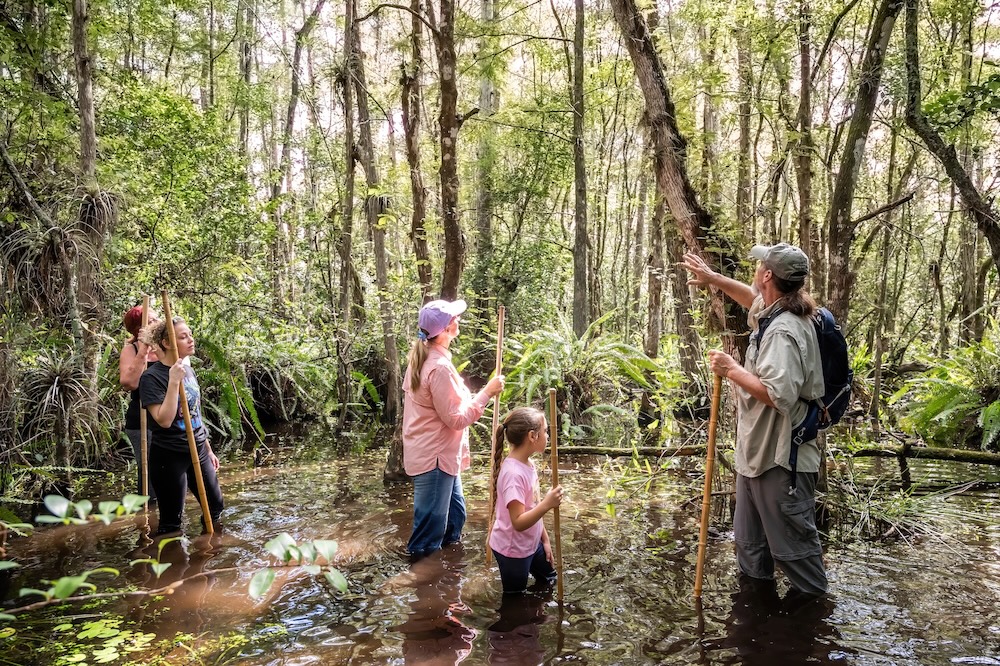 Explore Big Cypress - Take a Tour